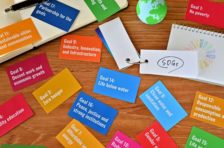 行動の10年、これからSDGsに取り組む企業に必要なのは「ムーンショット」の構想 | SDGs コラム | SDGs SCRUM